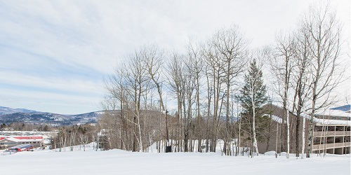 Sunday River Resort's Official Real Estate Agency | Newry & Bethel Homes