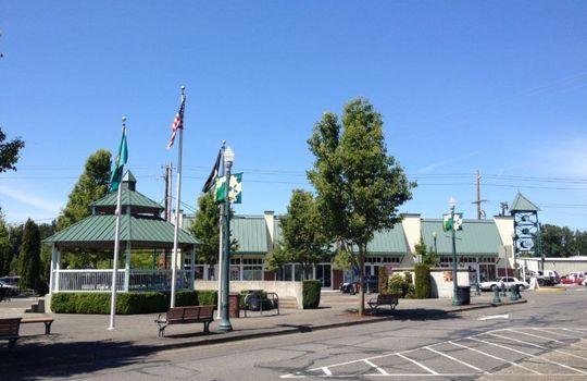 Sumner History, Attractions, Demographics and Real Estate