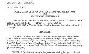 Example Restrictive Covenants - The Cameron Team