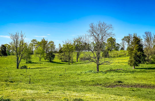 Small house - Big Land 84 acre Farm on Salt River - bluegrassteam