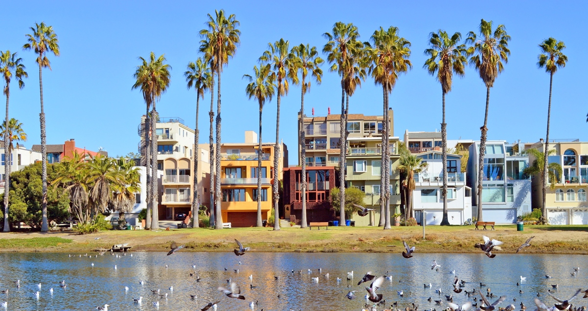 Playa del Rey - Stamatii